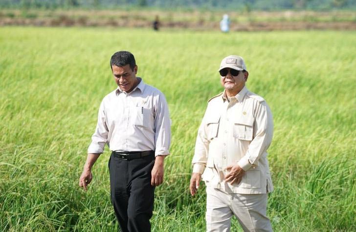 Swasembada Beras Indonesia: Pelajaran dari Soeharto dan Target ...